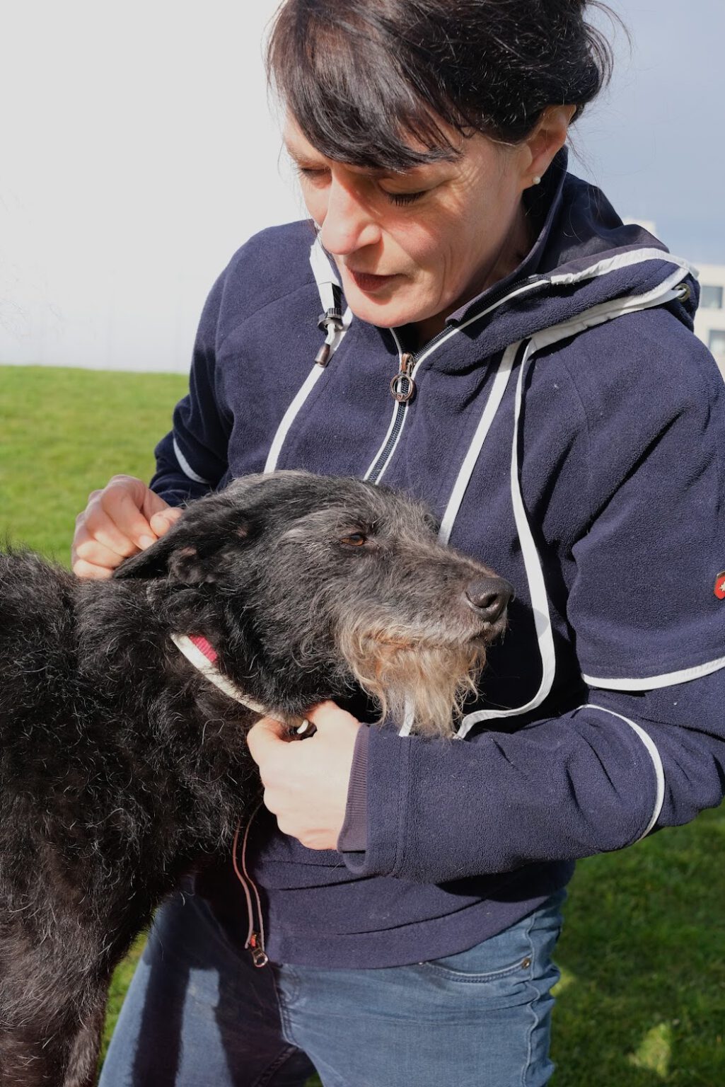 Anwendungsgebiete Hund – Dr. med. vet. Simone Kaiser